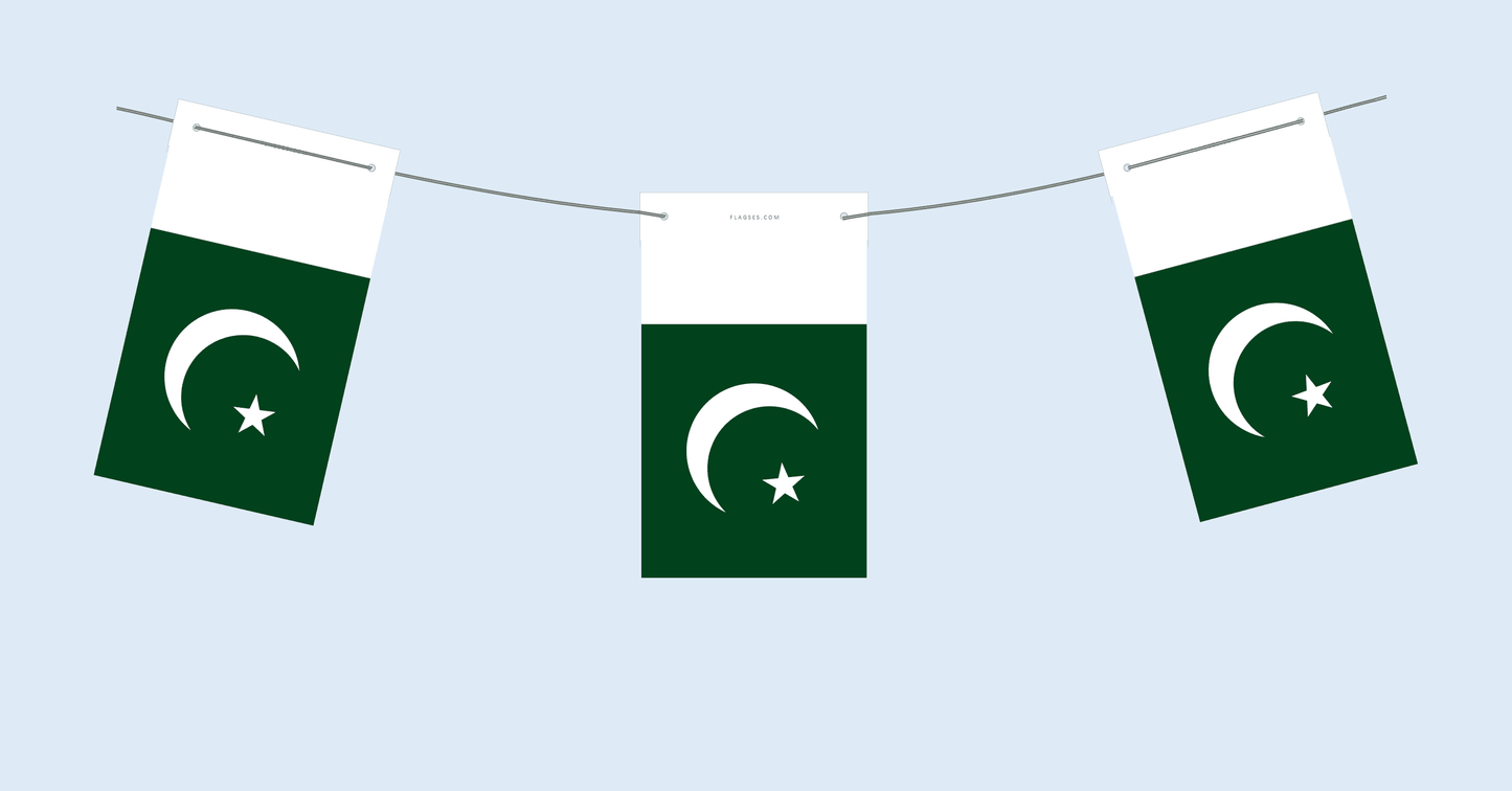 Pakistan - Small Paper Flags – Flagses